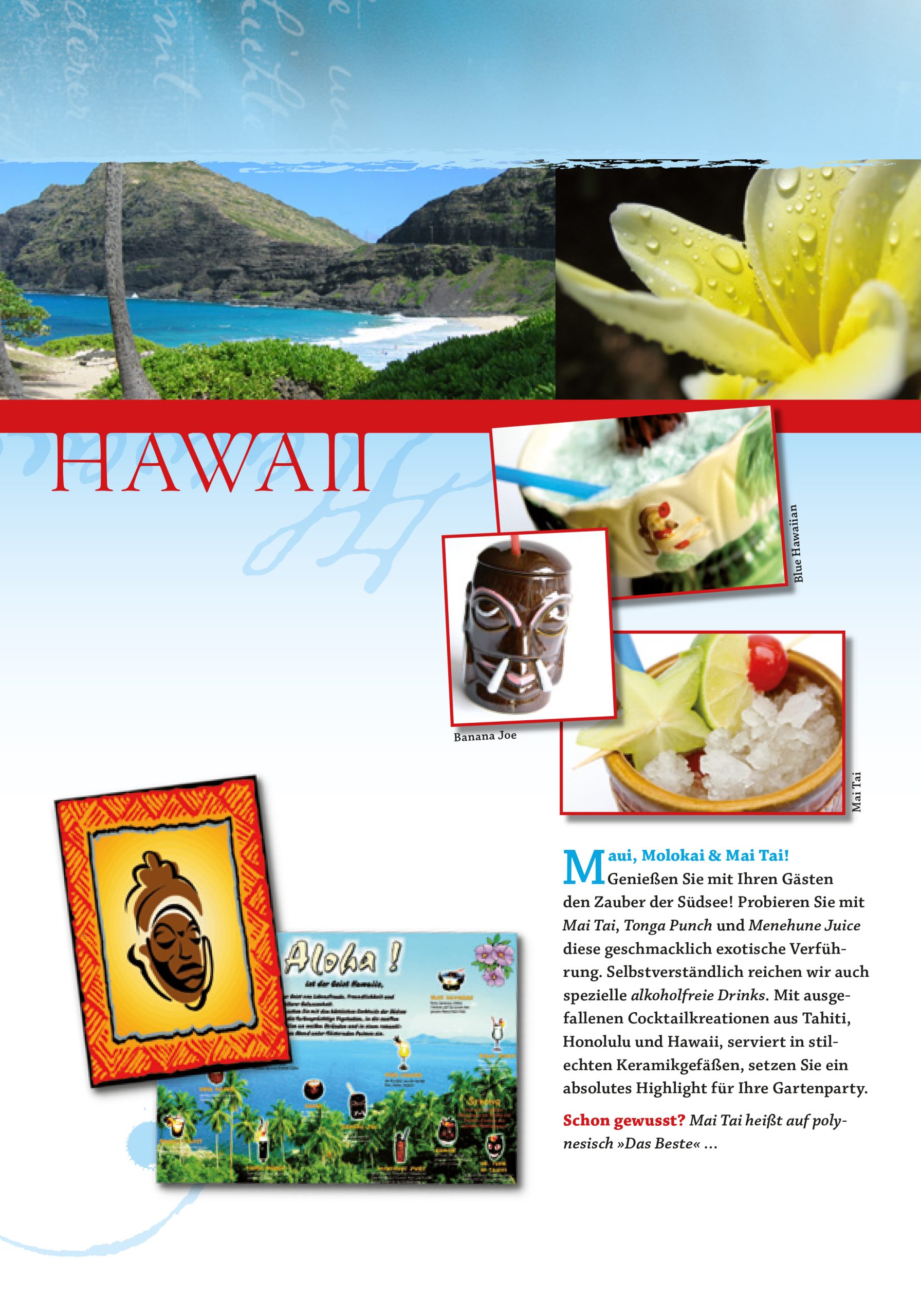 Programme-Hawaii – Mobiler Cocktail Service